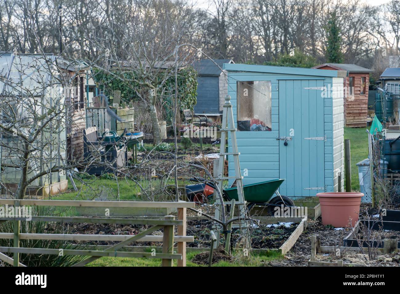 Allotment gardening in the month of March. View over plots with sheds ...