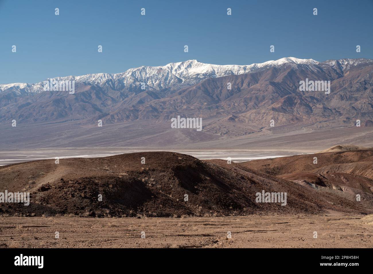 Gold crest range hi-res stock photography and images - Alamy