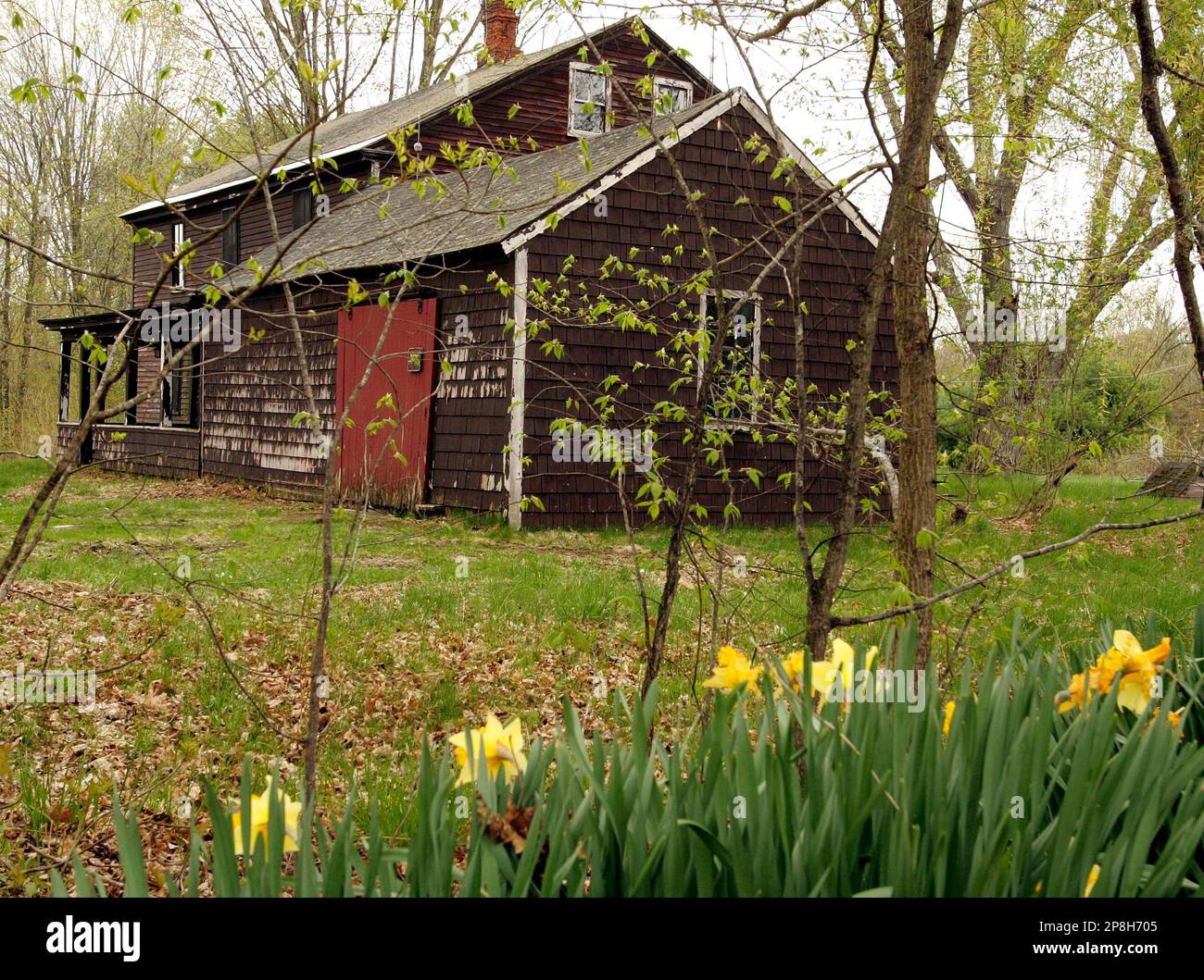 Flowers begin to bloom at the farm house of U.S. Supreme Court Justice ...