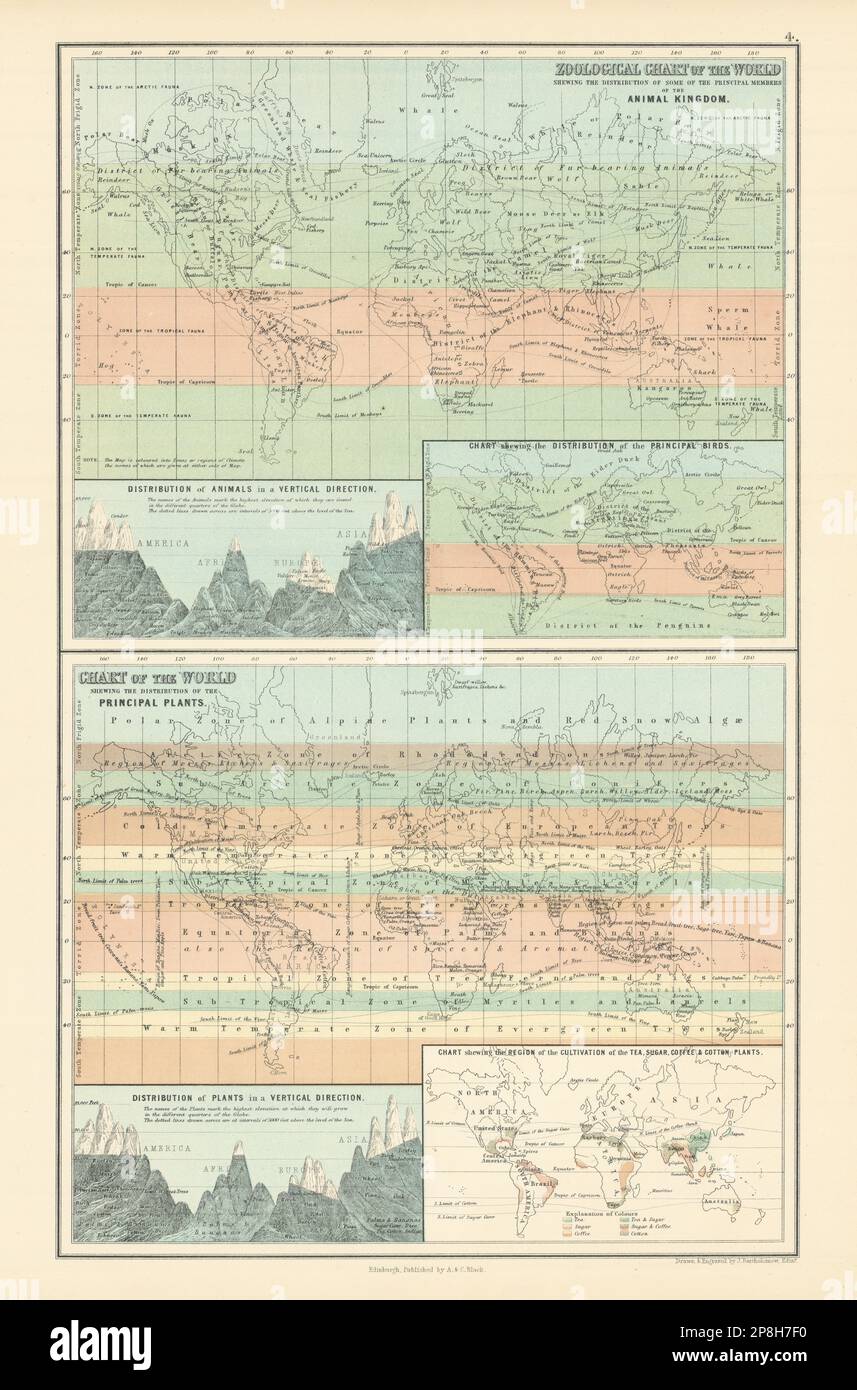 Zoological & Botanical Charts of the World. Plants animals. BARTHOLOMEW 1862 map Stock Photo - Alamy