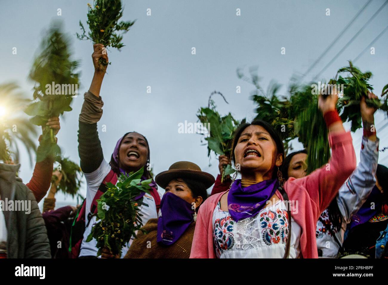 Women uses different plants as sign of protection and force, such as ...