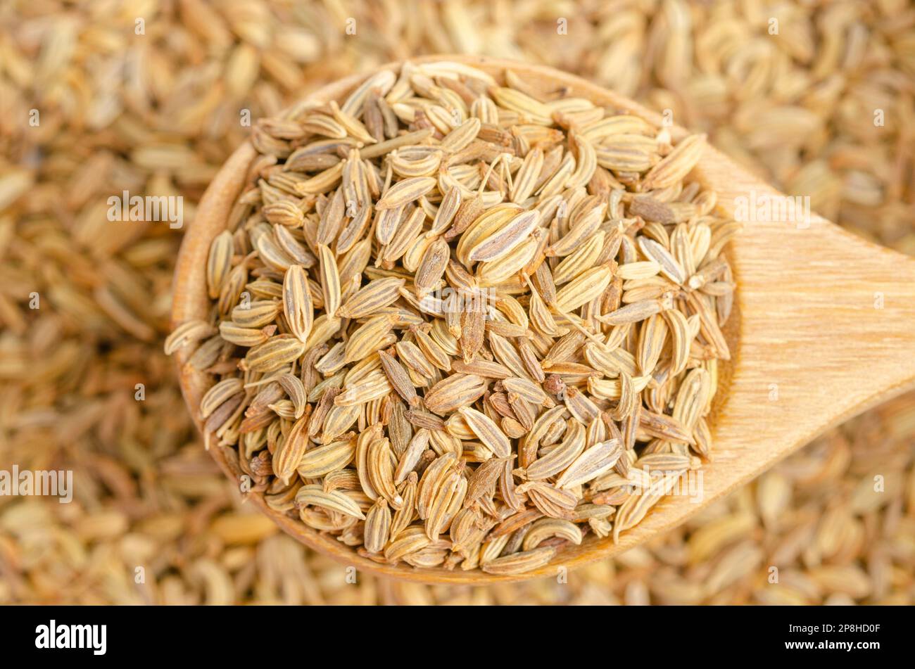 Dried fennel seeds in wooden spoon on fennel seeds background Stock ...