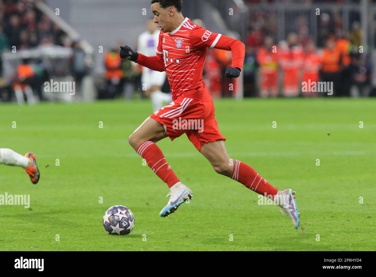 Munich, Germany. , . 42 Jamal Musiala of FcBayern, FOOTBALL, UEFA ...