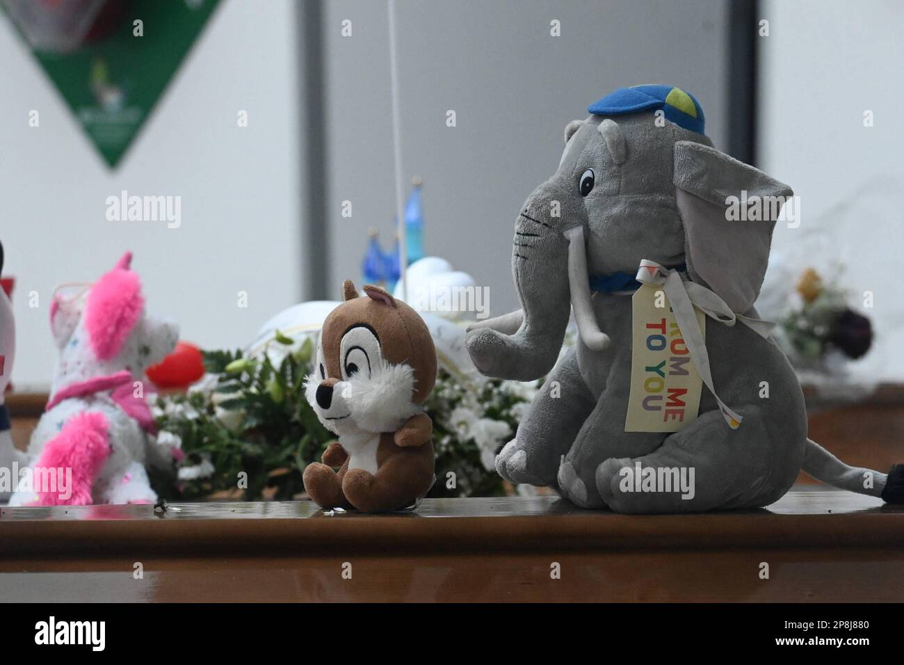 Bologna. Seven bodies of the victims of the Cutro shipwreck have ...