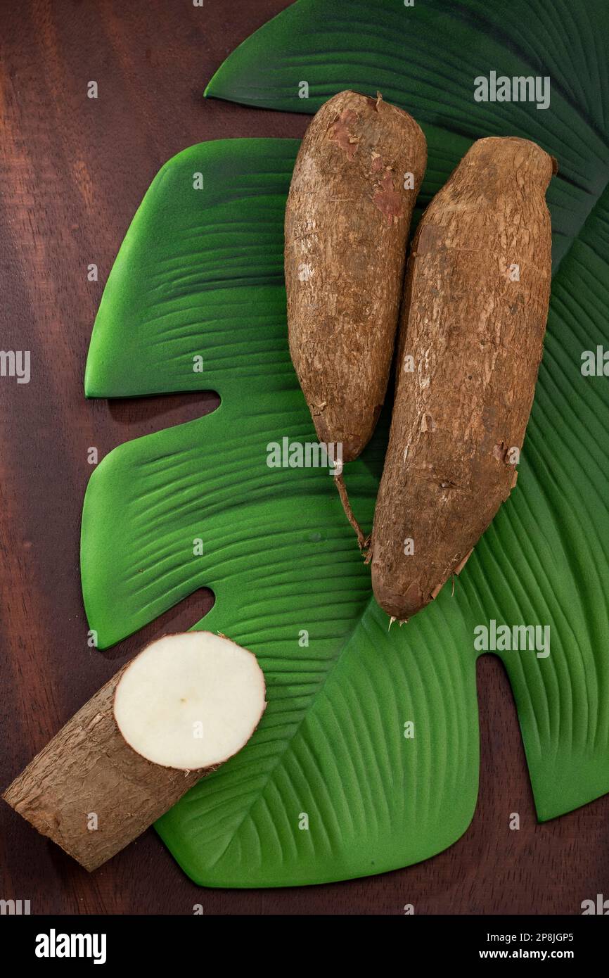 Manihot Esculenta - Fresh Organic Cassava Root Stock Photo - Alamy