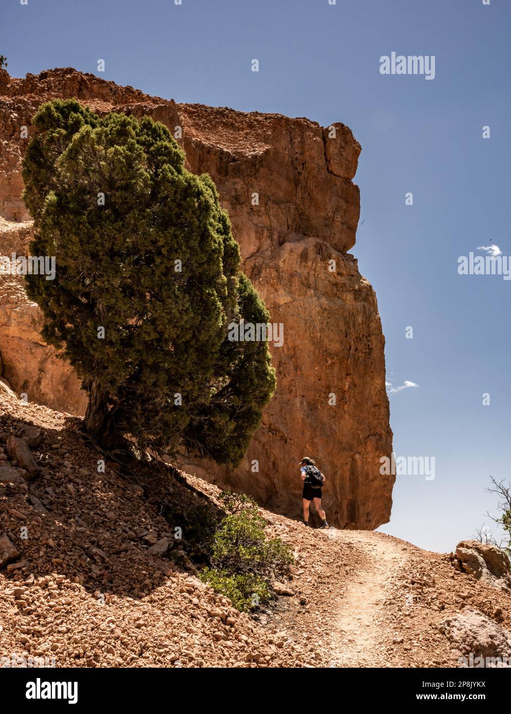 Orange Boulder Looms Over Trail as it Bends around Corner under the ...
