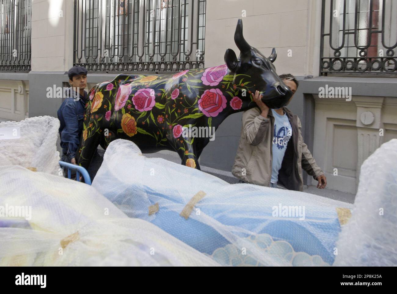 One of 104 fiberglass cows is carried outside the auction hall in ...