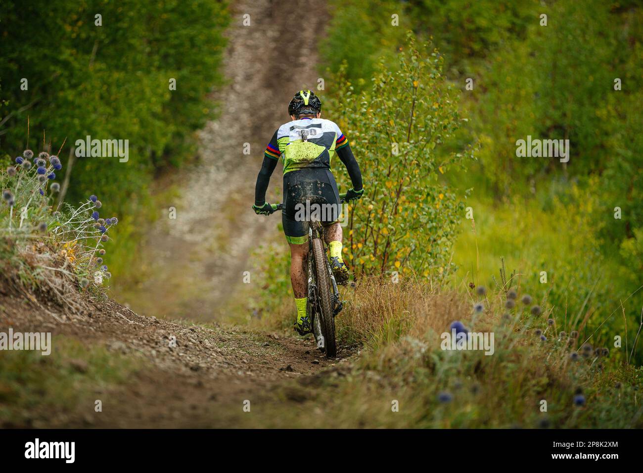 back male athlete on mountain bike ride forest trail. dirt on feet and ...