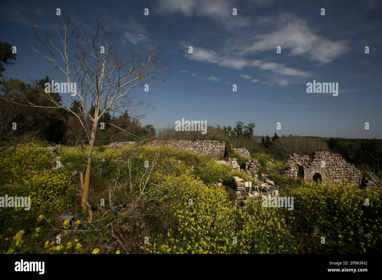 A general view of the destroyed village of Biram in northern Israel ...