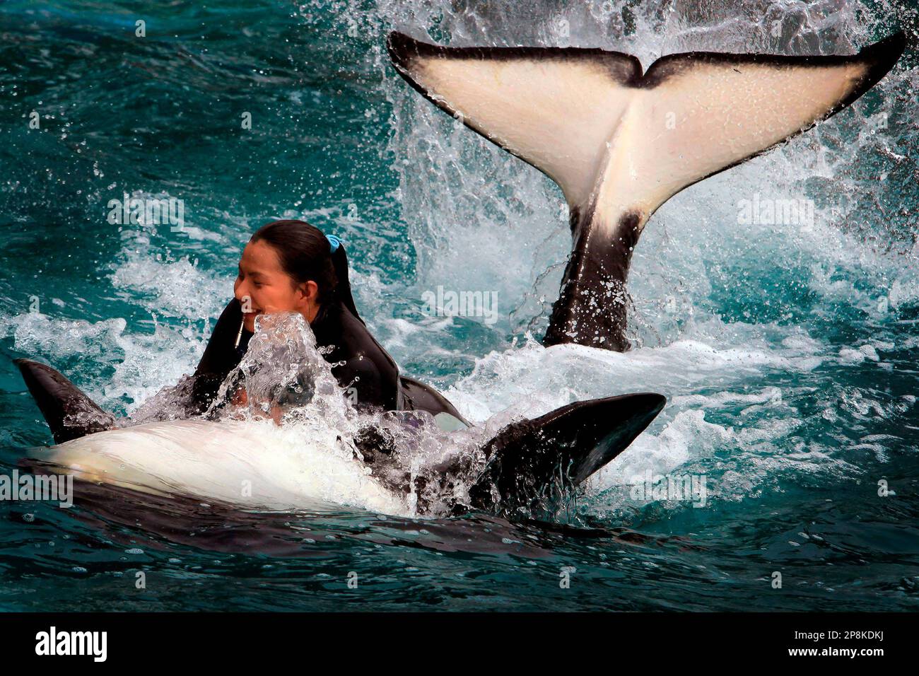 Kamogawa Sea World's trainer Namie Ninomiya gets a ride on a female ...