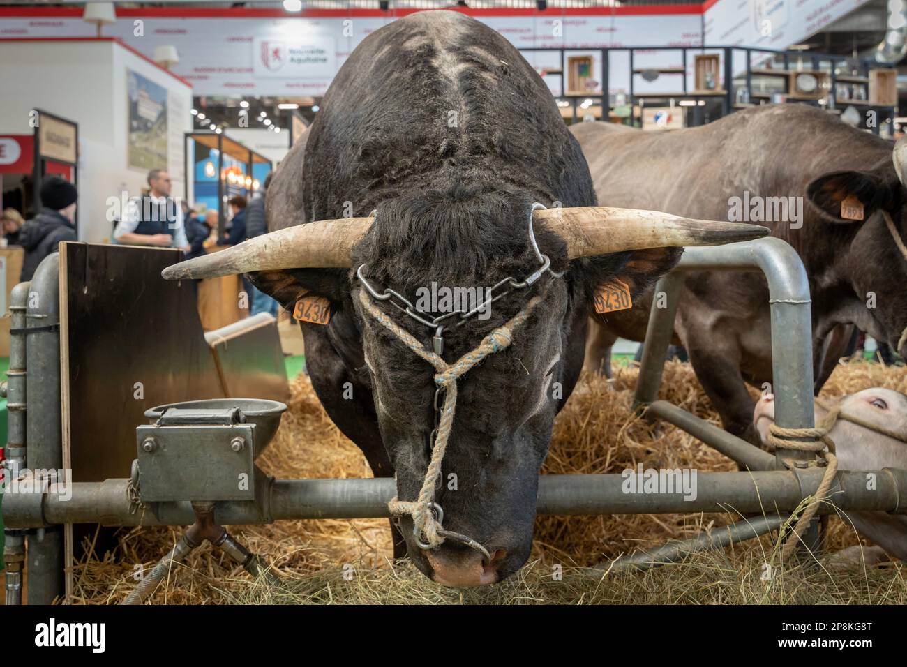 Paris, France - 03 01 2023: International Agricultural Show. A ...
