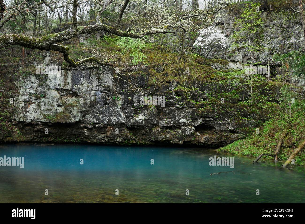 Blue lake springs hi-res stock photography and images - Alamy