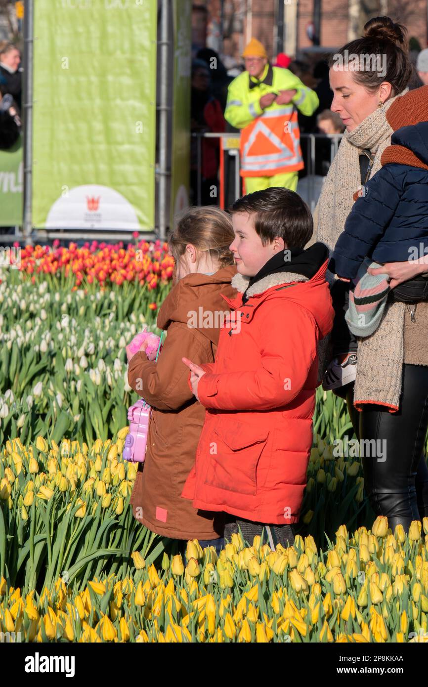Mother With Kids At The National Tulip Day At Amsterdam The Netherlands ...