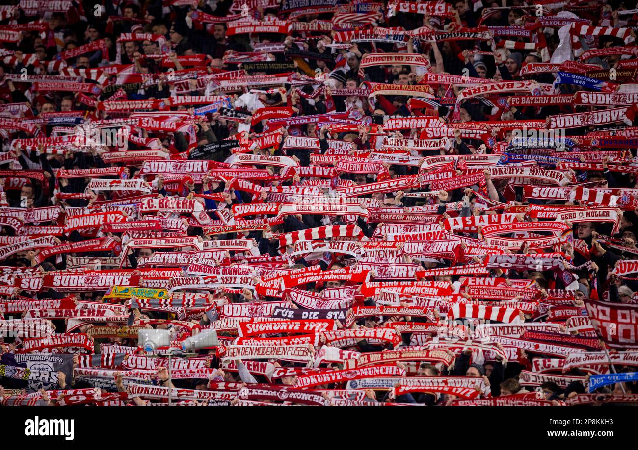 Munic, Germany. 8th Mar, 2023. Bayern Schals in der Fankurve Bayern ...