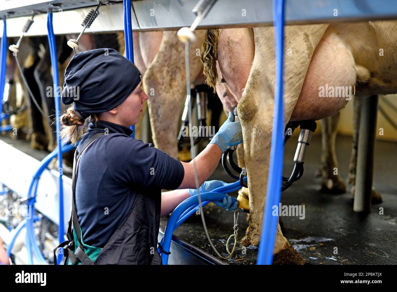 Gressow, Germany. 09th Mar, 2023. Lea Brand from GGAB Agrabetrieb Gross ...