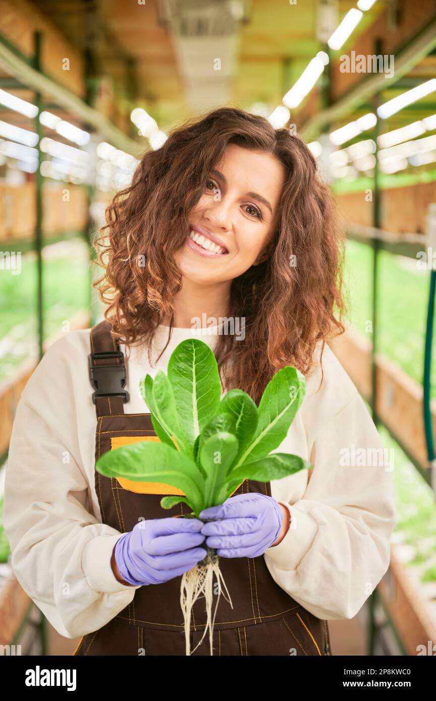 Farmer holding green romaine lettuce hi-res stock photography and ...