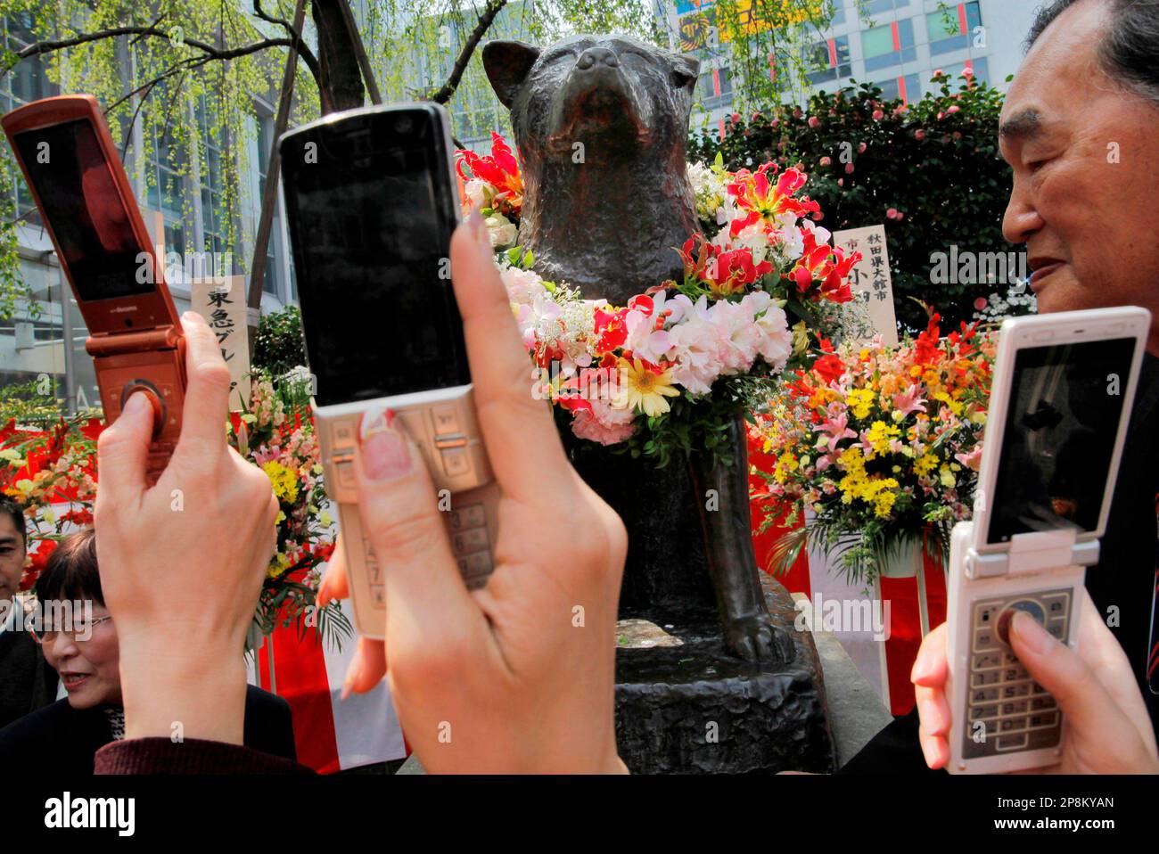 People take a photo of a bronze statue of Japanese Akita dog "Hachi ...