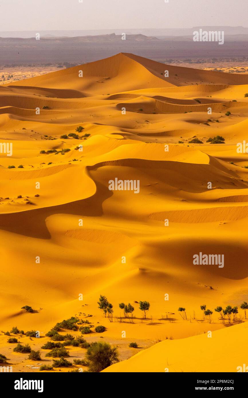 Desierto sahara hi-res stock photography and images - Alamy