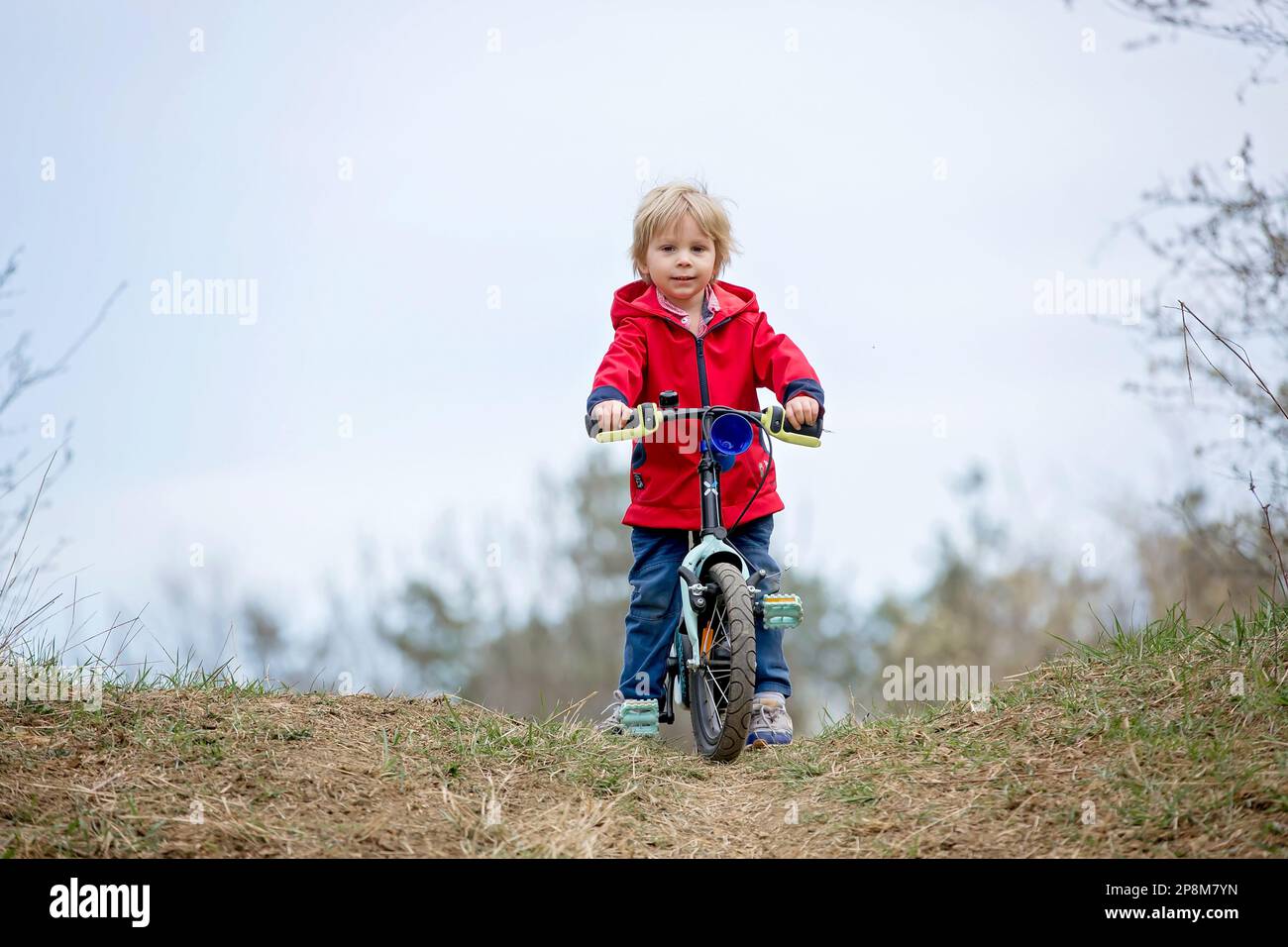 Little boy, learning how to ride a bike in the park, springtime Stock ...