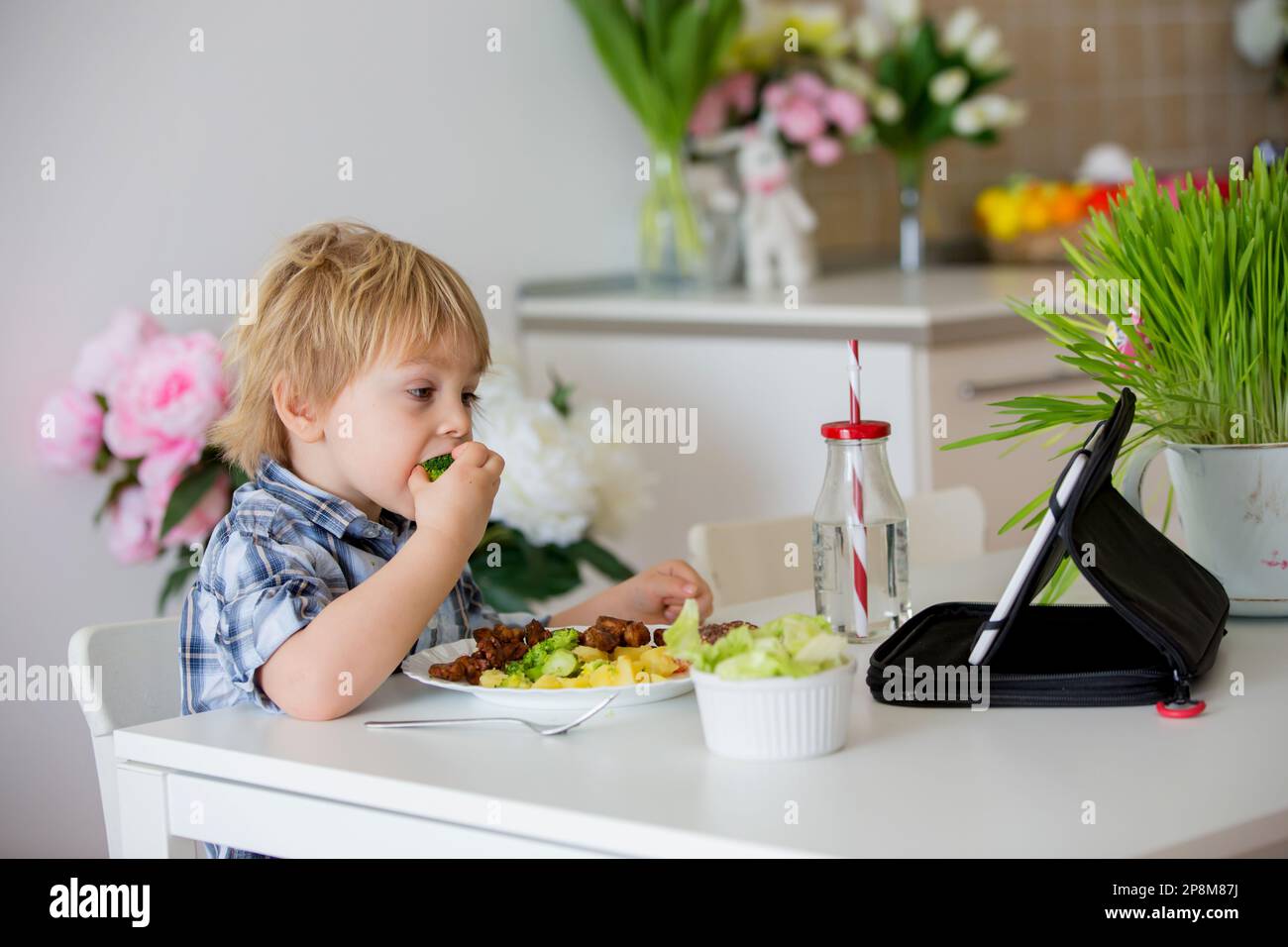 Little toddler child, blond boy, eating boiled vegetables, broccoli ...