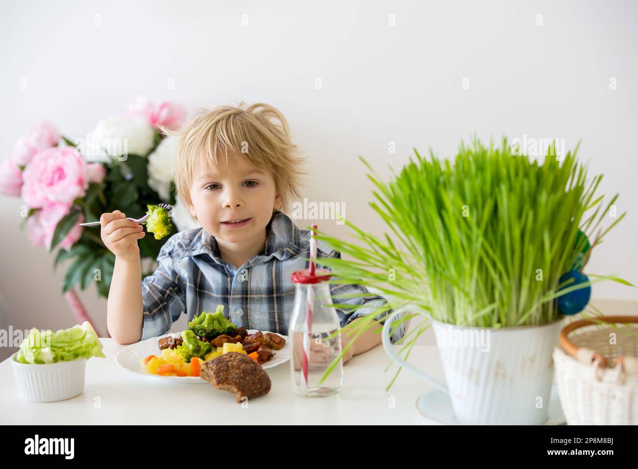 Little toddler child, blond boy, eating boiled vegetables, broccoli ...
