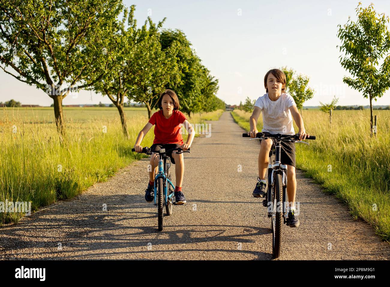 Cute happy children, brothers, riding bikes in the park on a sunny ...