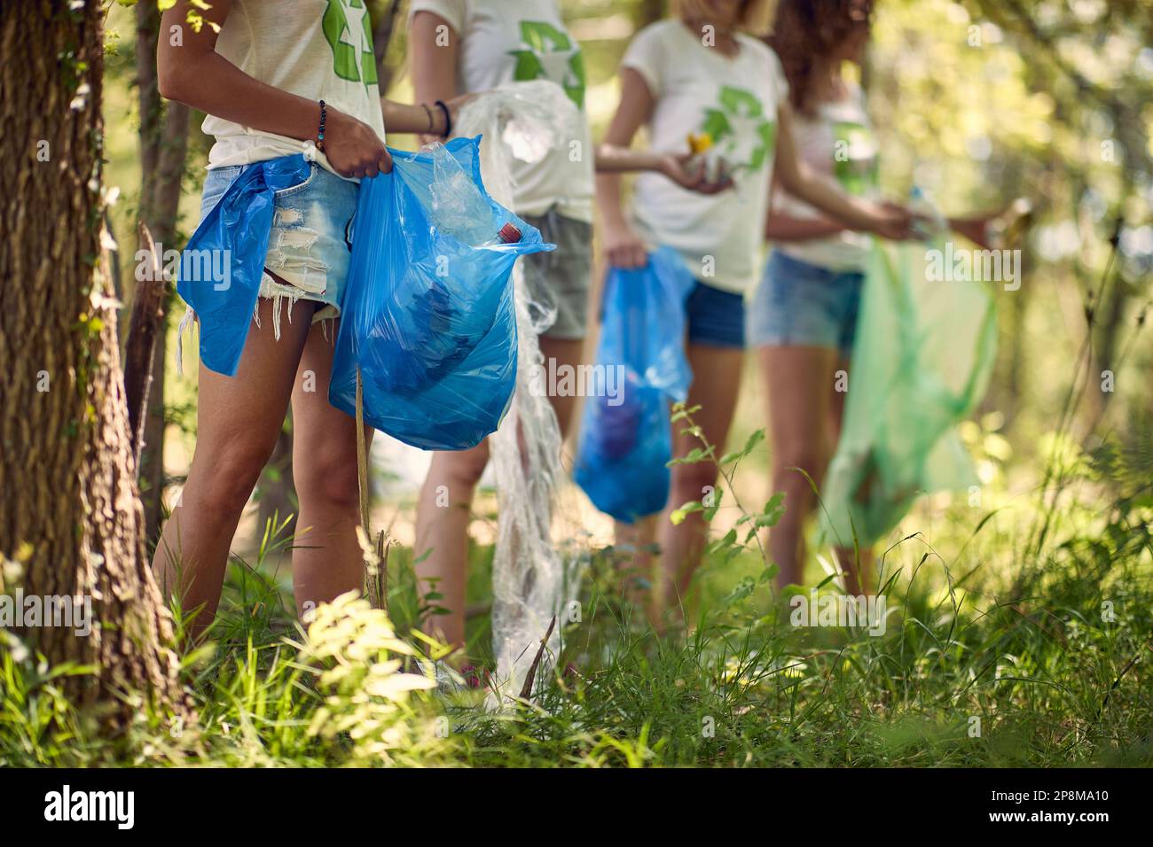 Group of people in nature volunteering cleaning up garbage from forest ...