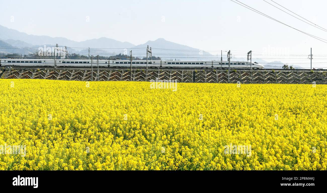 Rongjiang, China's Guizhou Province. 9th Mar, 2023. A bullet train ...