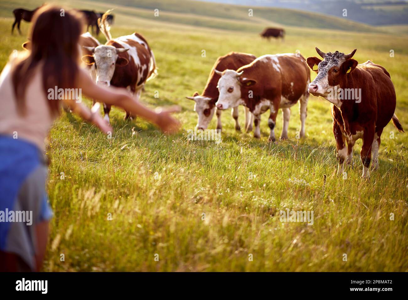 Happiness and freedom of nature scenery hi-res stock photography and ...