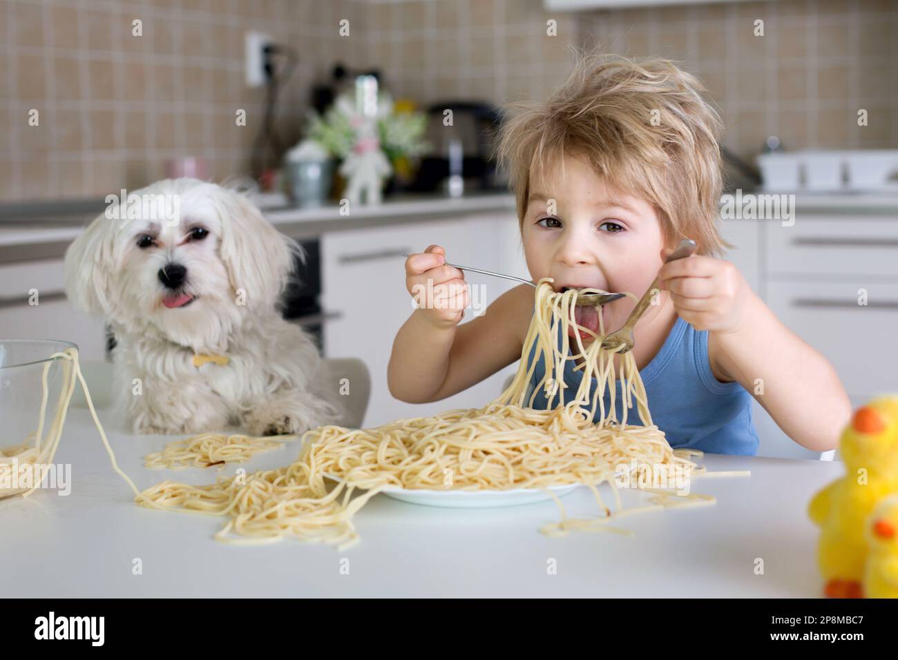 Puppy Eating Spaghetti
