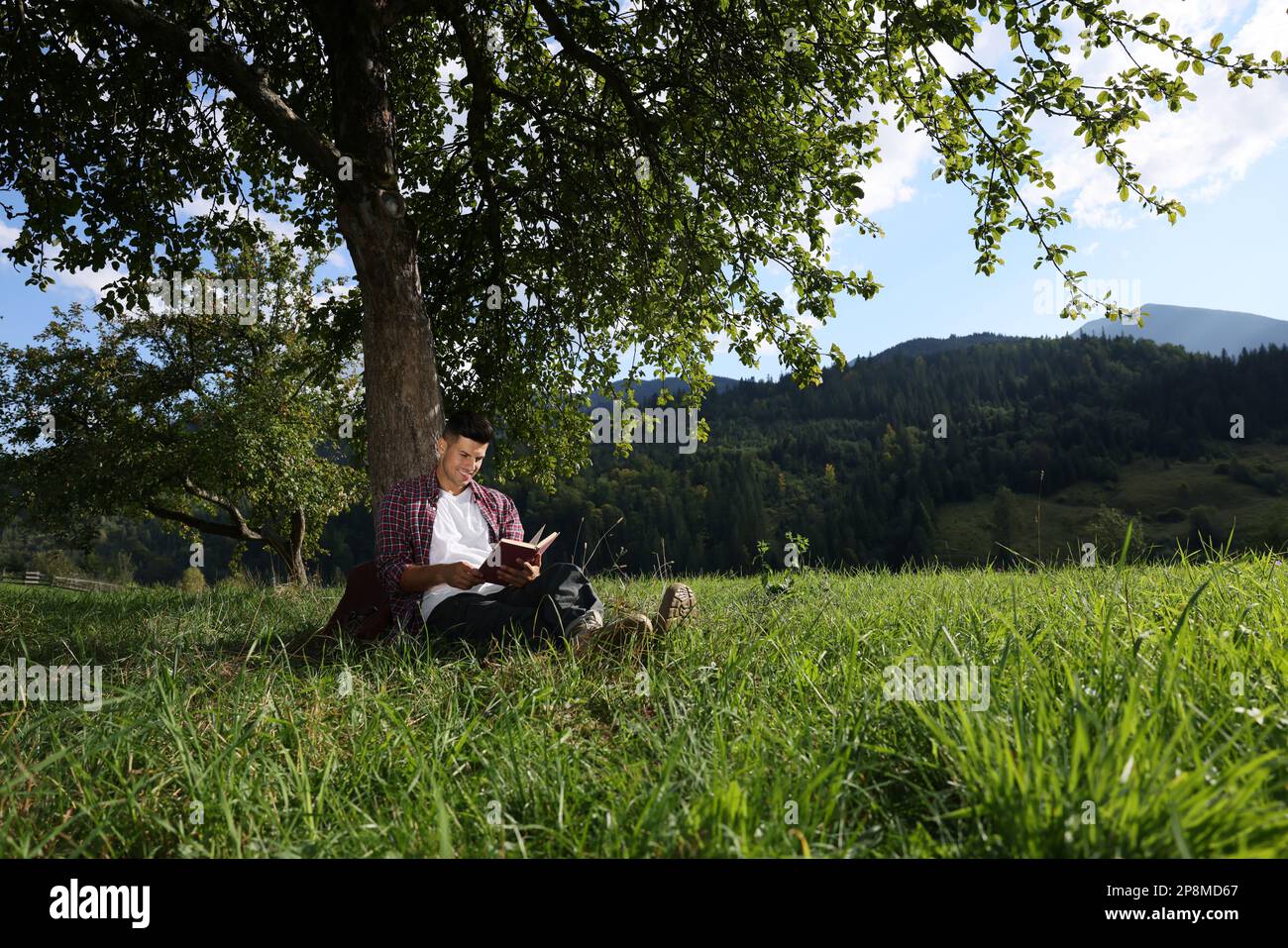 Handsome man reading book under tree on meadow in mountains Stock Photo ...