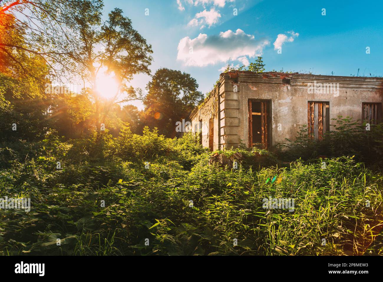 Remains Of Yastrzhembsky Estate And Park Complex. Old Five-storey Brick ...
