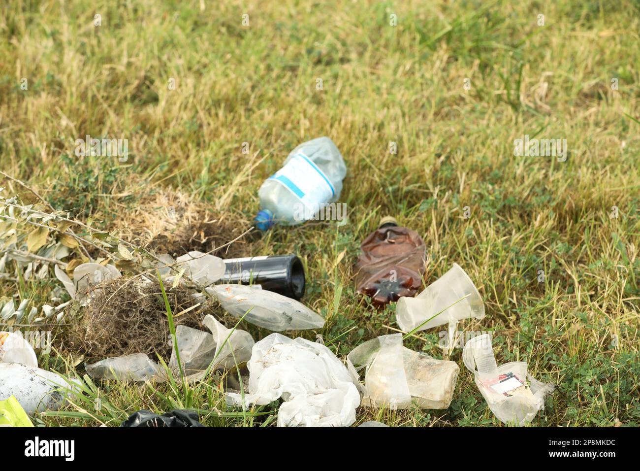 Garbage scattered on grass. Environment pollution problem Stock Photo ...