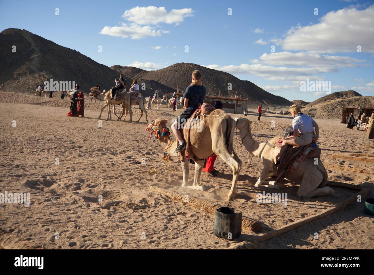 Tourist and camel hi-res stock photography and images - Alamy