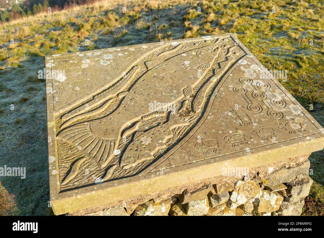 Pirn craig hi-res stock photography and images - Alamy