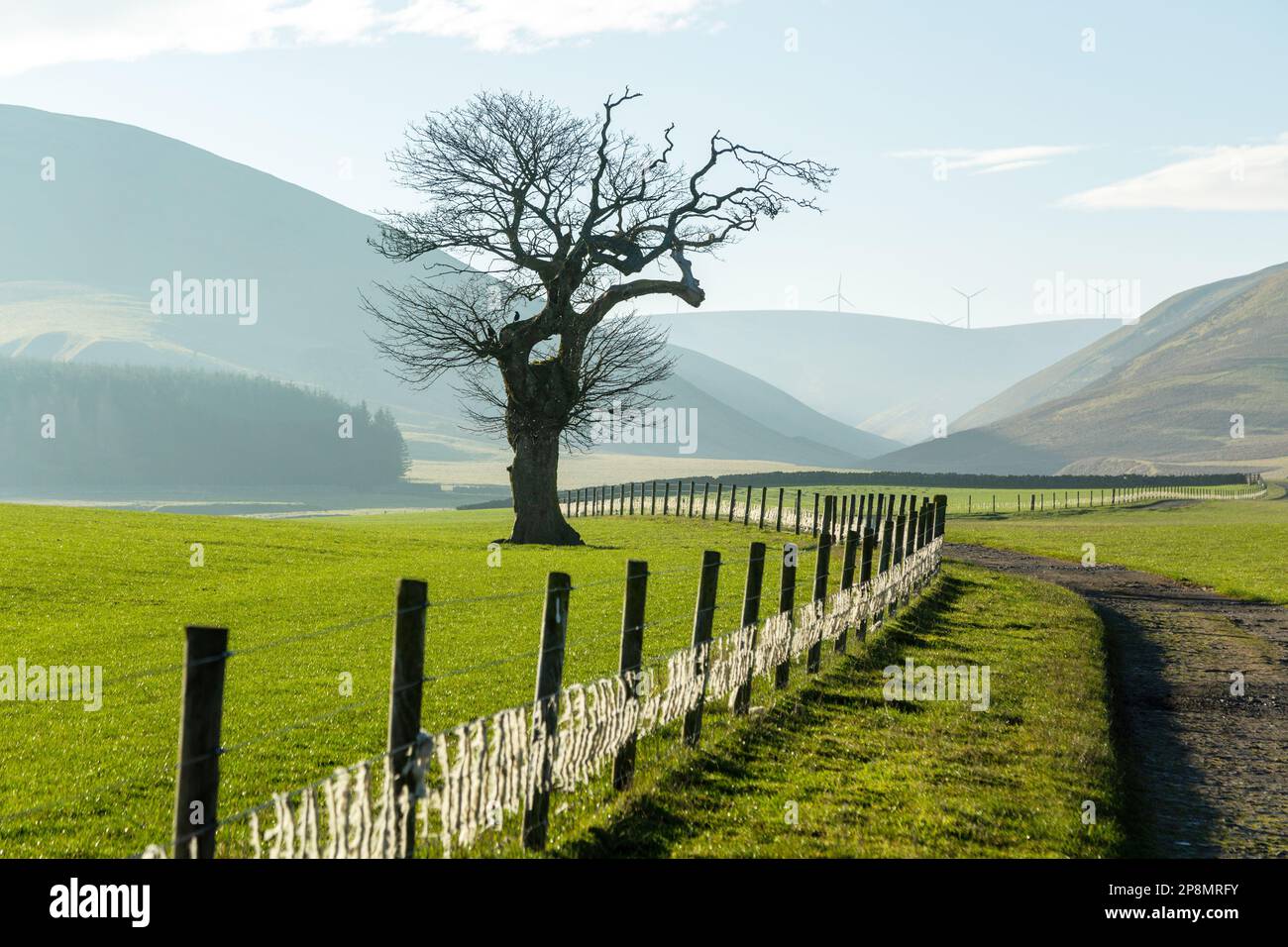 Beautiful hills and fence hi-res stock photography and images - Alamy