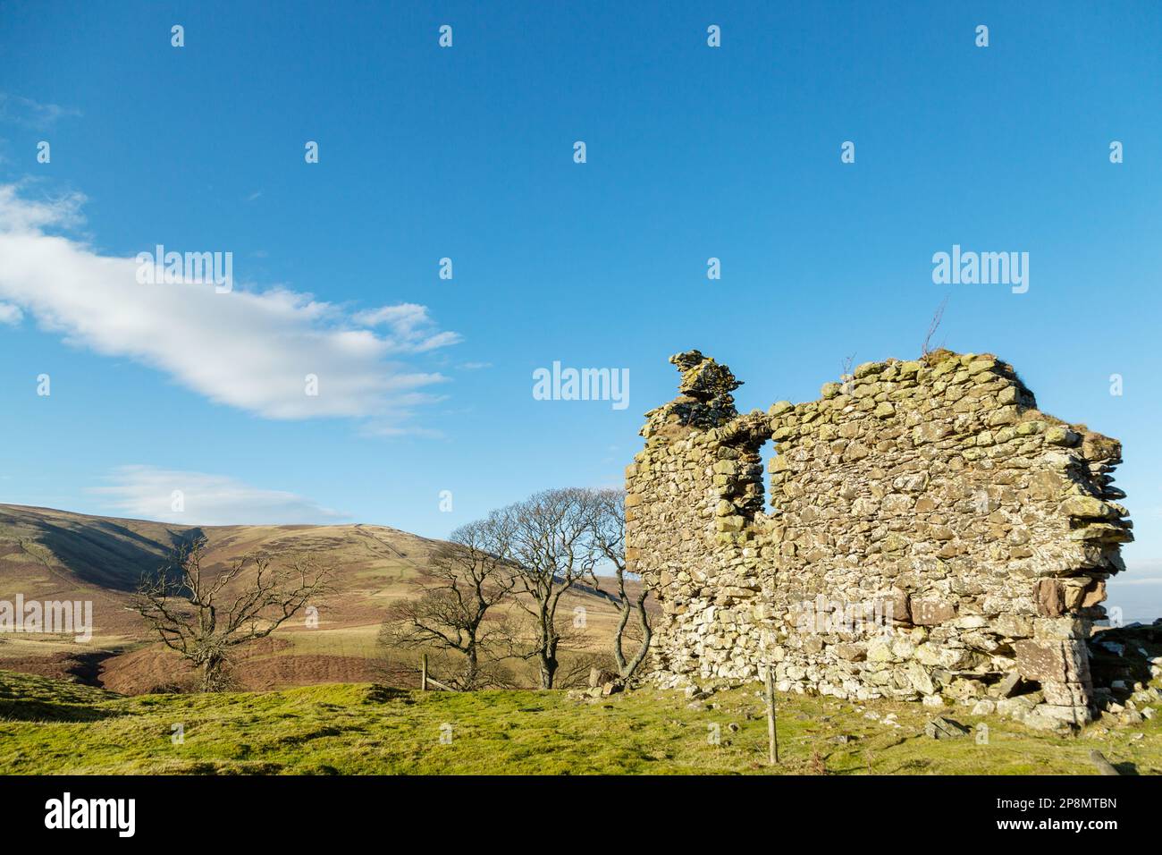 Hirendean Castle - a sixteenth century Peel tower Stock Photo - Alamy