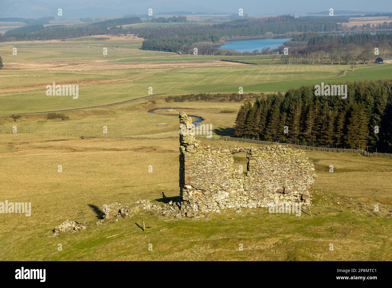 Hirendean Castle - a sixteenth century Peel tower Stock Photo - Alamy
