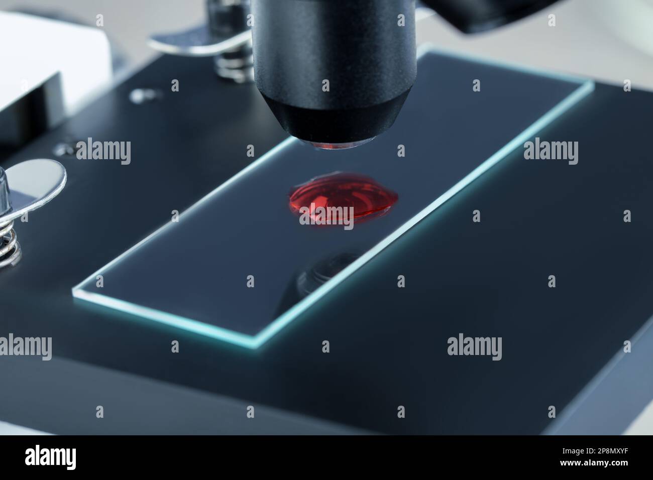 Glass slide with sample of red liquid under microscope in laboratory ...
