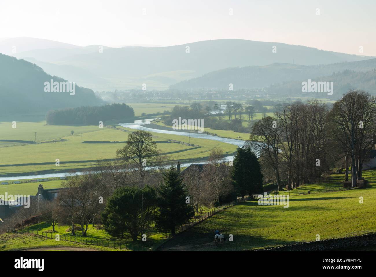 The River Tweed near Walkerburn in the Scottish Borders Stock Photo - Alamy