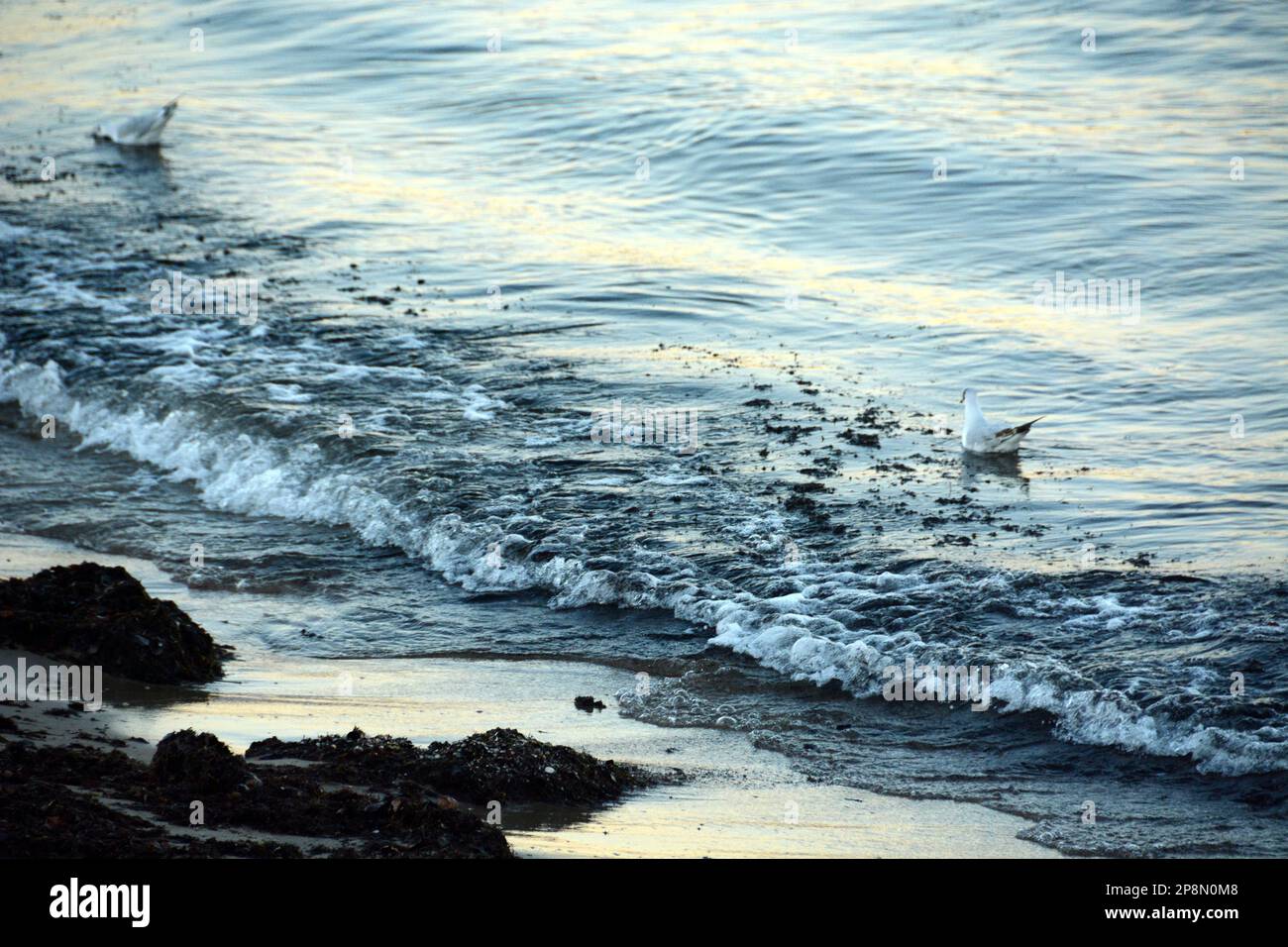 landscape of the city of Odessa in Ukraine and sea Stock Photo - Alamy
