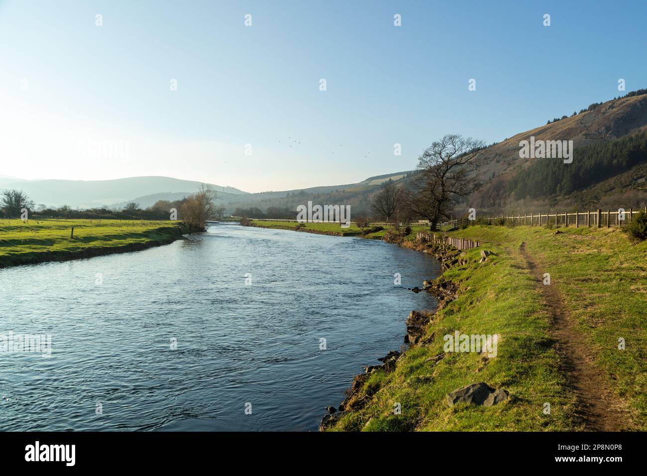 The River Tweed near Walkerburn in the Scottish Borders Stock Photo - Alamy