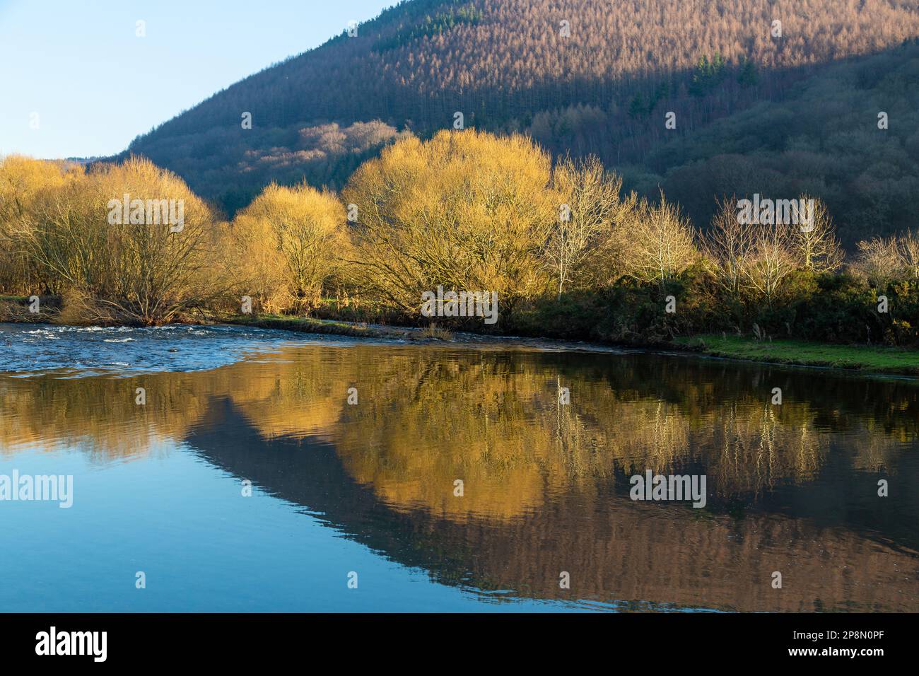 The River Tweed near Walkerburn in the Scottish Borders Stock Photo - Alamy