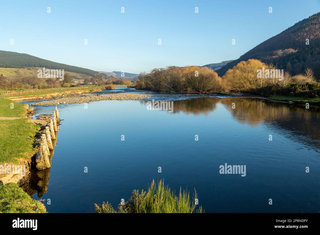 The River Tweed near Walkerburn in the Scottish Borders Stock Photo - Alamy