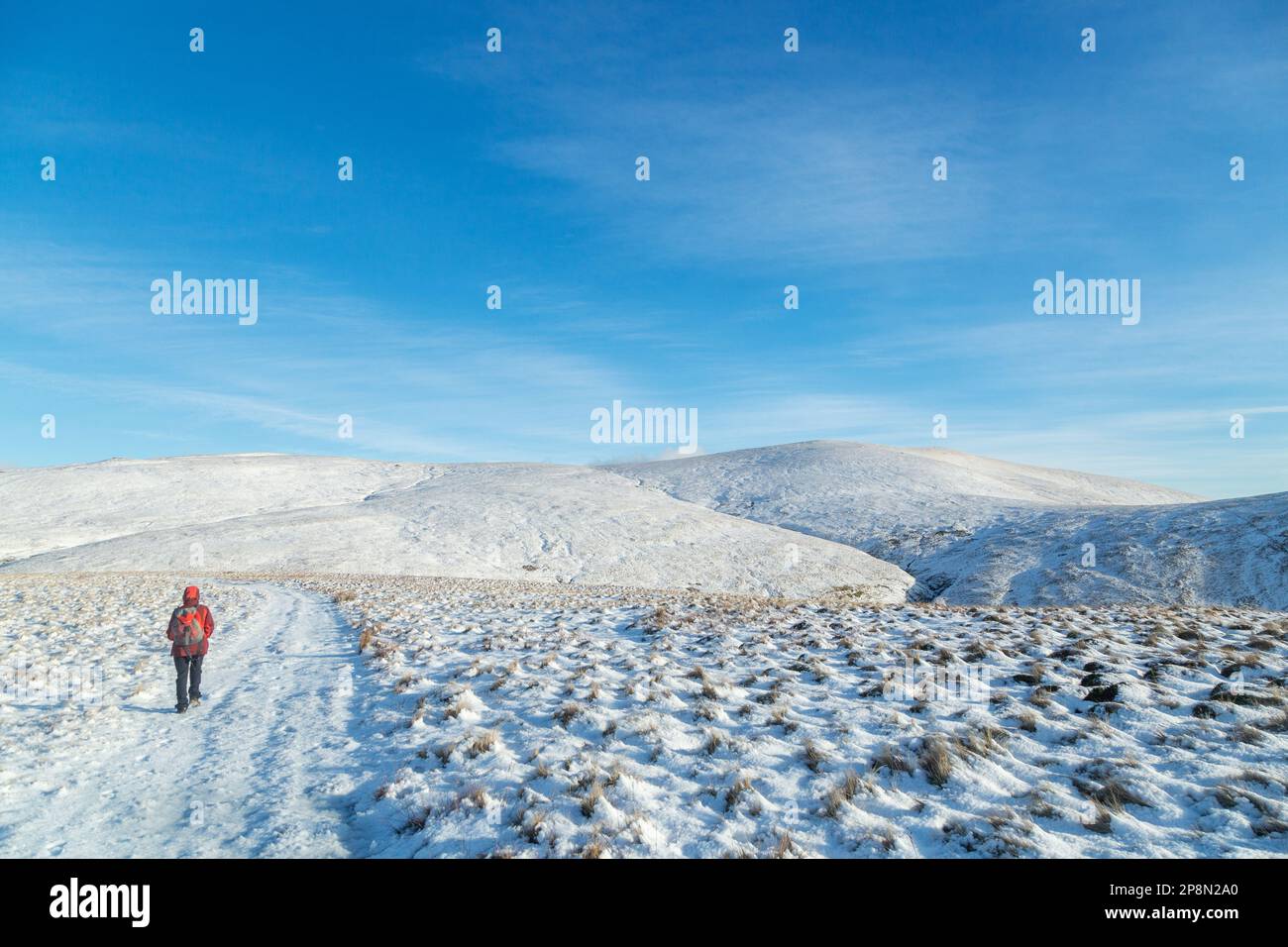 Looking East towards Ben Cleuch from Craighorn in the Ochil Hills ...