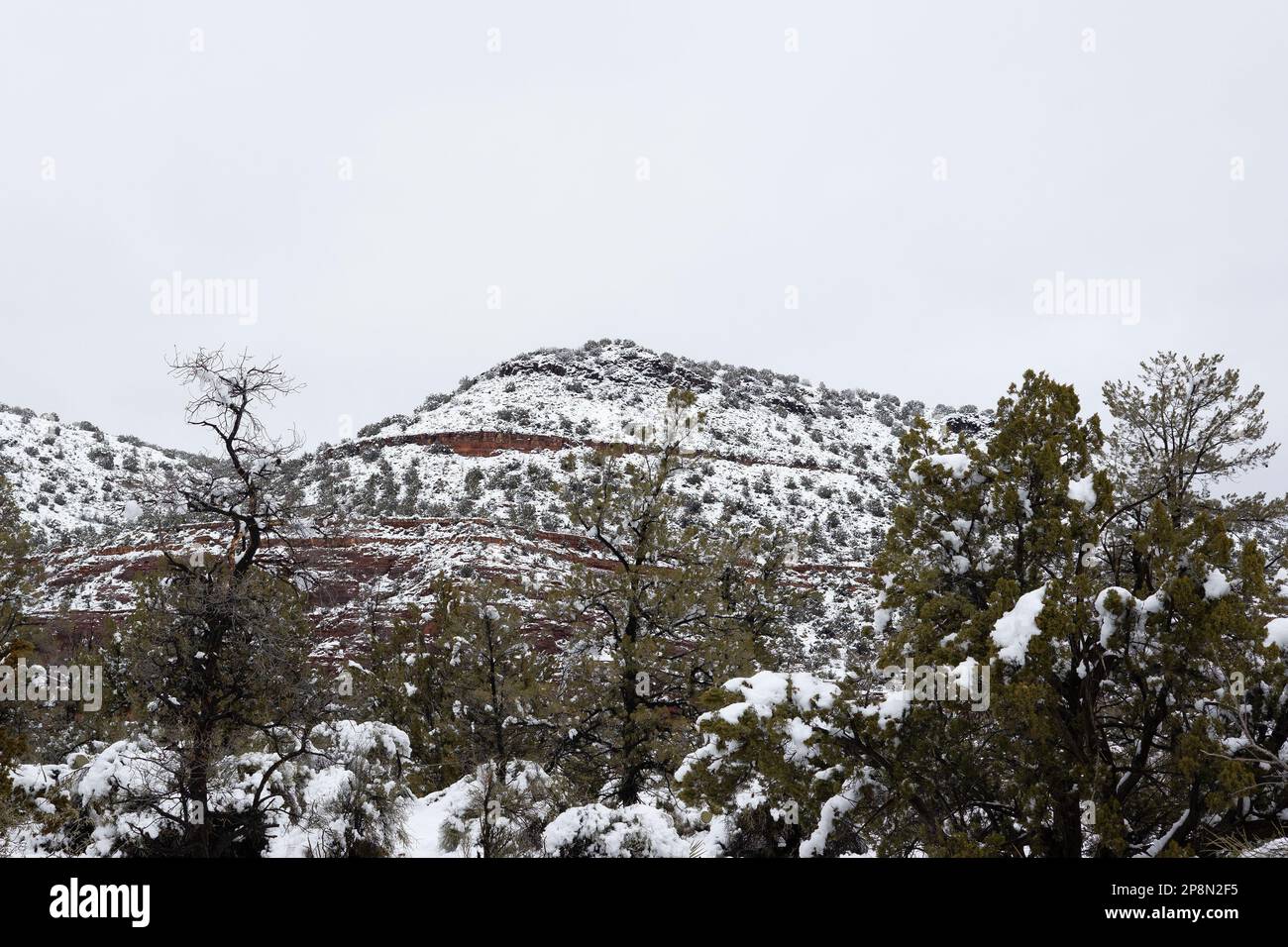 Scenic view of beautiful red rocks covered in snow in Sedona, Arizona ...
