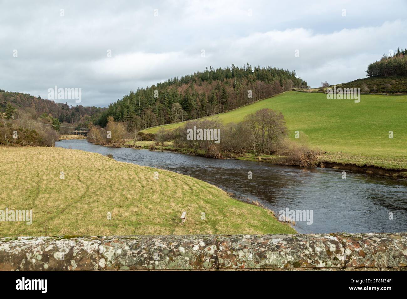 The River Tweed just west of Peebles, Scottish Borders, Scotland Stock ...