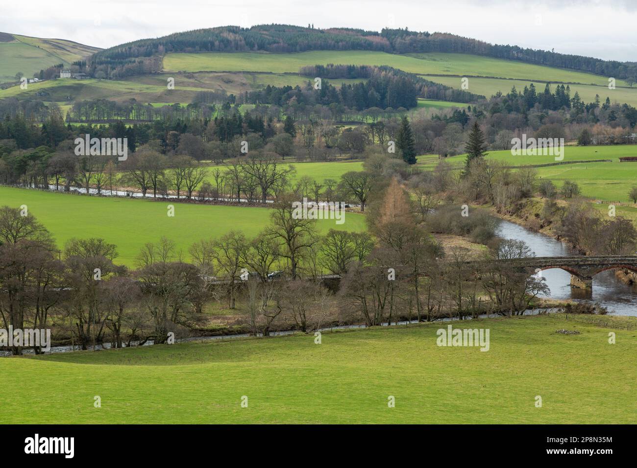 The River Tweed just west of Peebles, Scottish Borders, Scotland Stock ...
