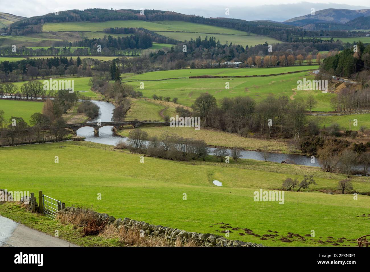 The River Tweed just west of Peebles, Scottish Borders, Scotland Stock ...