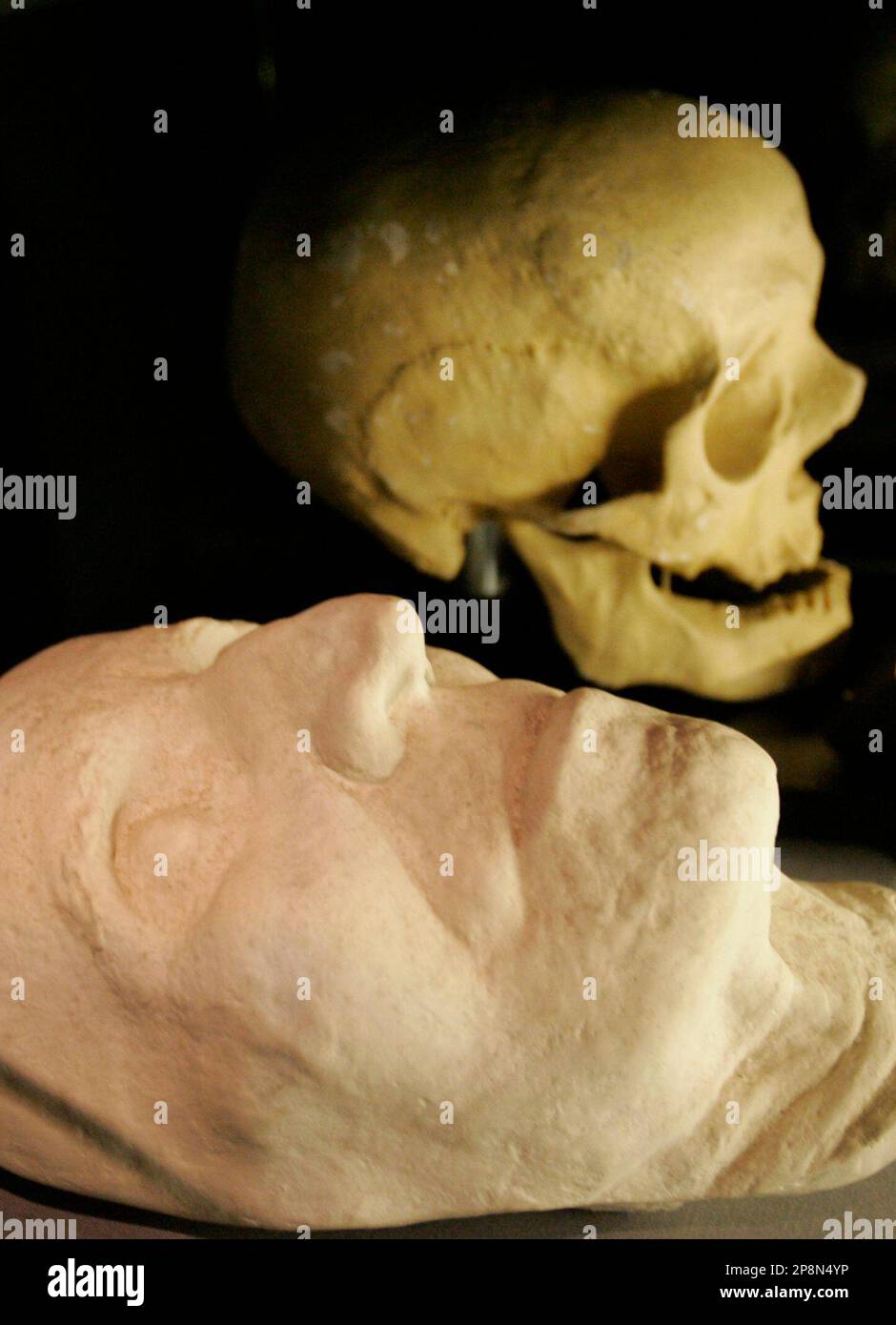 A death mask and a replica of the skull of Joseph Haydn, exhibits of ...